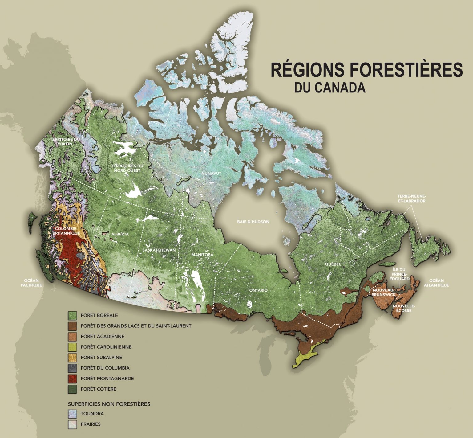 Des forêts vastes et abondantes - Conseil canadien des ministres des ...